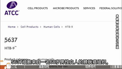 5637细胞培养，人膀胱癌细胞培养攻略 - 知乎