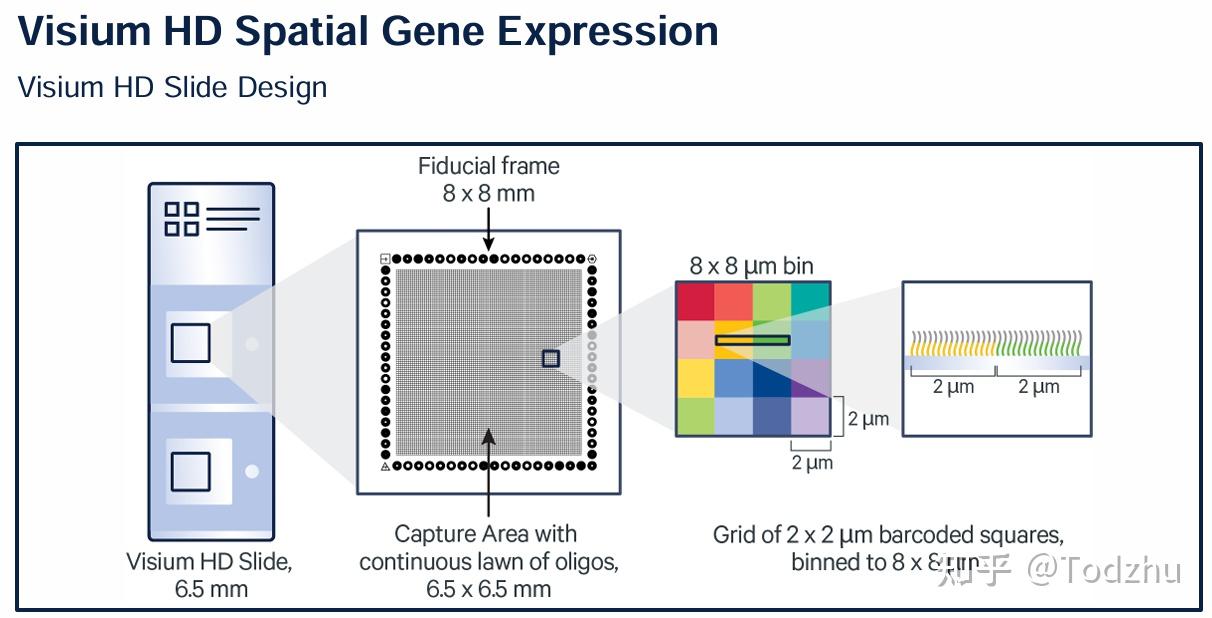 Visium HD 全流程分析--数据准备 - 知乎