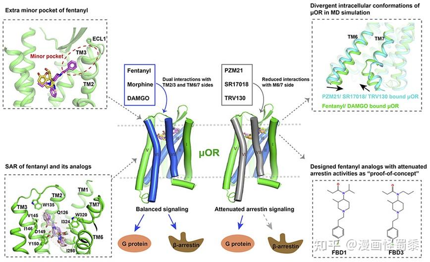 Cell期刊重磅报道导读（2022年11月） - 知乎