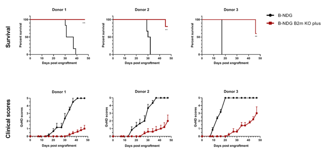 免疫重建的“疑难杂症”，请看这里 - 知乎