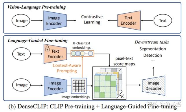 详解一篇CLIP应用在语义分割上的论文（CVPR 2022） - 知乎