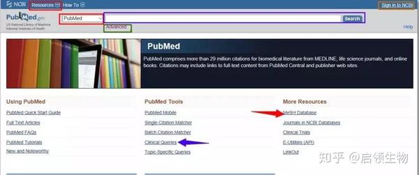 高级检索！PubMed完全指南，快来学学这些实用技巧！ - 知乎