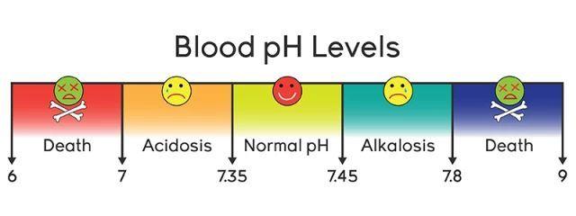 酸碱体质：营养学上最扯理论，竟然这么多人相信！ - 知乎
