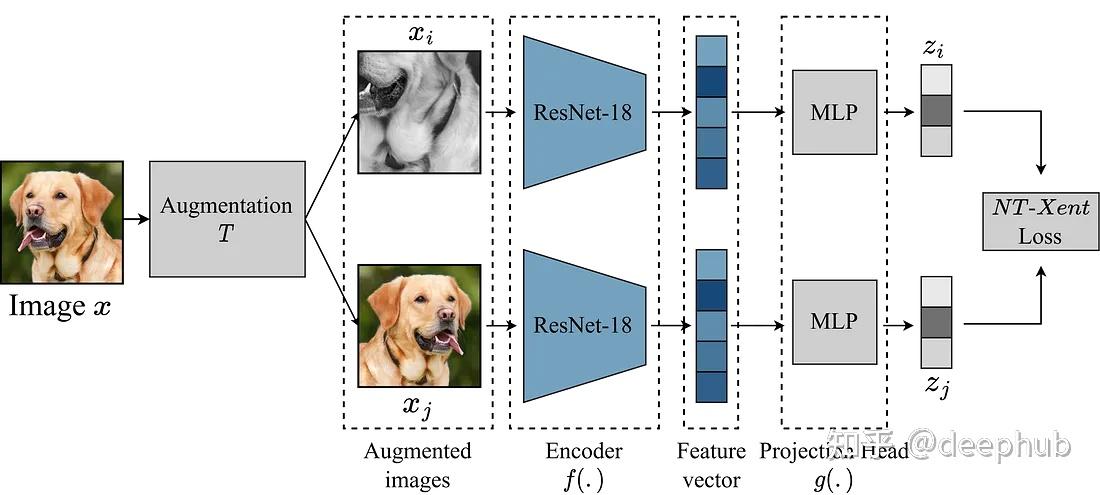 使用Pytorch实现对比学习SimCLR 进行自监督预训练 - 知乎
