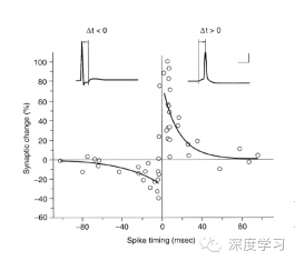 STDP与无监督学习 - 知乎