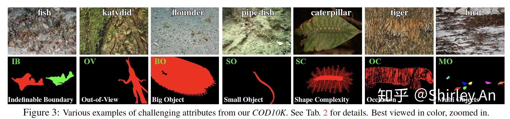 2020 CVPR ECCV 目标检测 - 知乎