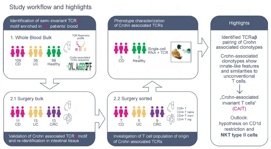 TCR/BCR/mRNA同测 | 新格元Bulk mRNA/免疫组库同步建库技术 - 知乎