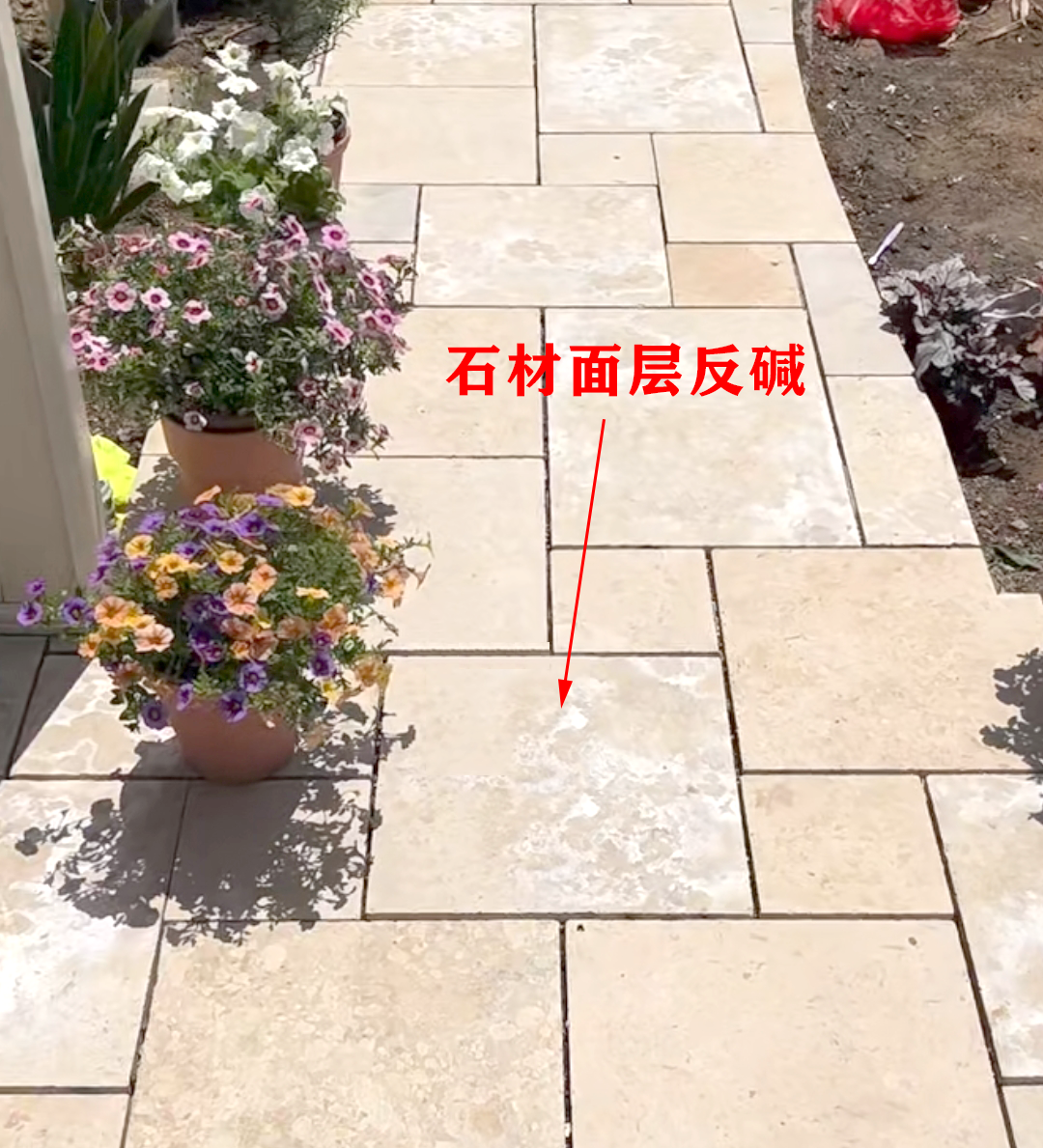 什么是反碱？HJSJ-2023 - 知乎