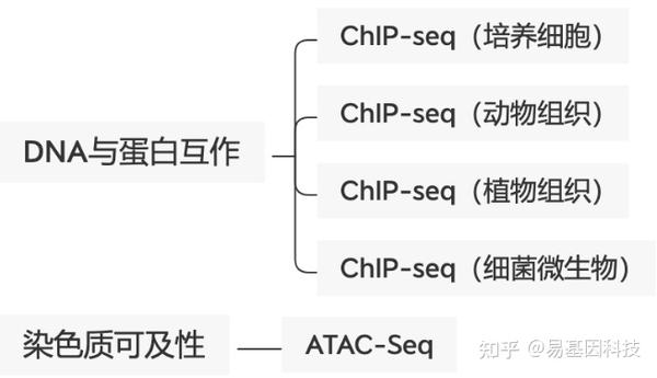 易基因：ChIP-seq等揭示Runx2通过转录调控Itgav表达激活肝星状细胞以促进肝纤维化｜科研进展 - 知乎