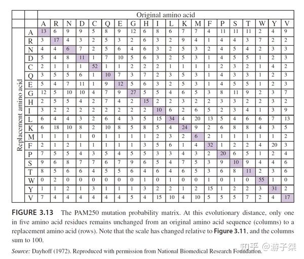 如何得到PAM打分矩阵——PAM打分矩阵原理与Dayhoff模型【生物信息学】 - 知乎