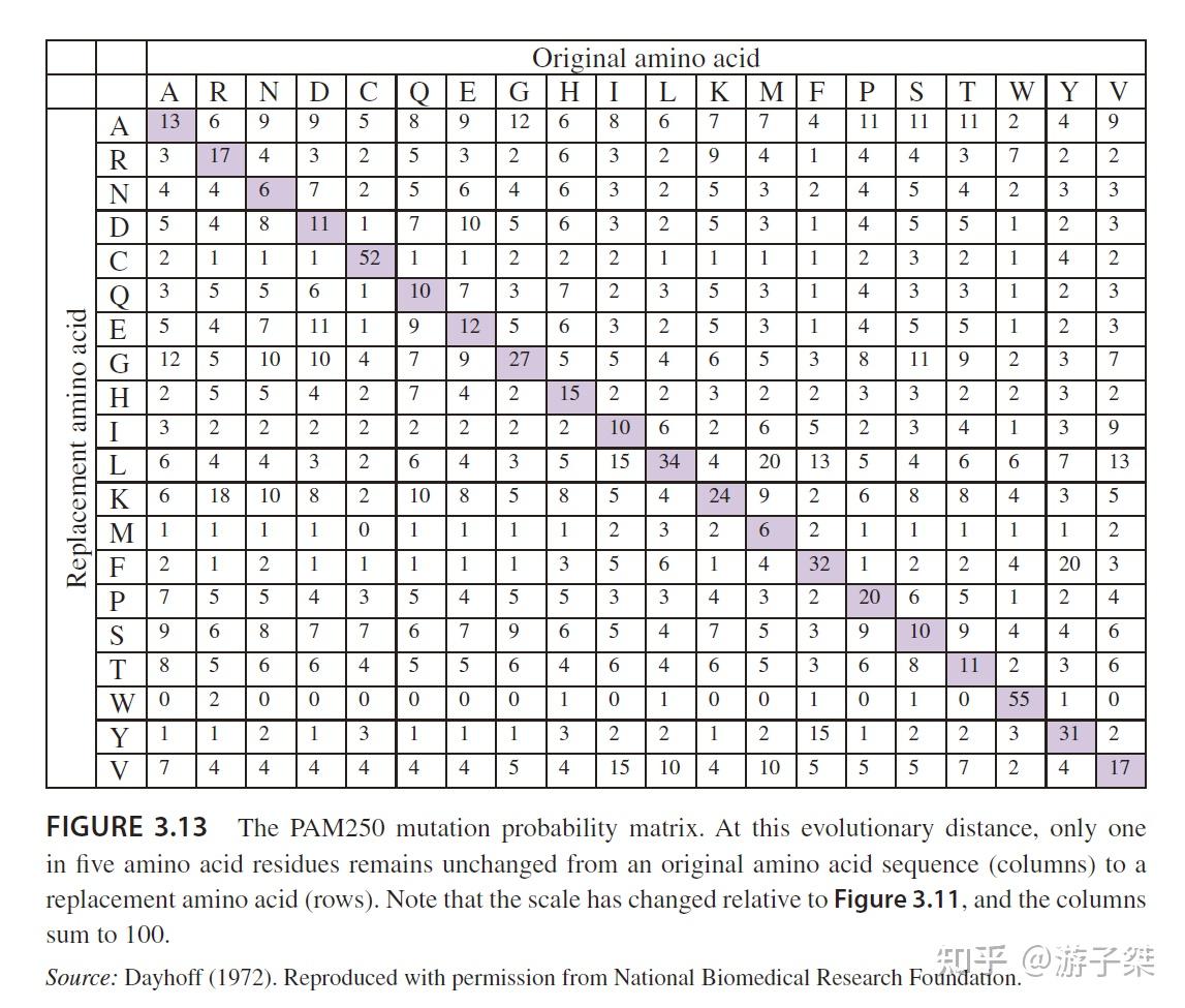 如何得到PAM打分矩阵——PAM打分矩阵原理与Dayhoff模型【生物信息学】 - 知乎