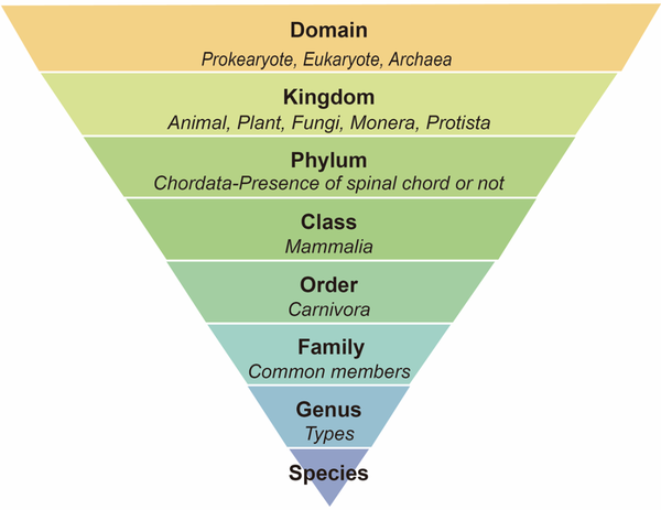 细菌基因组基本概念(一) - 知乎