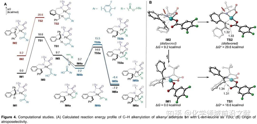 Angew：Pd(II)催化瞬态导向基导向的C(alkenyl)–H活化反应 - 知乎