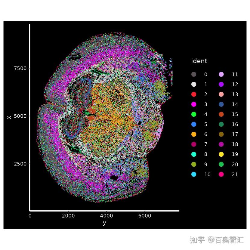 Highlights || 单细胞数据分析工具 Seurat v5 - 知乎