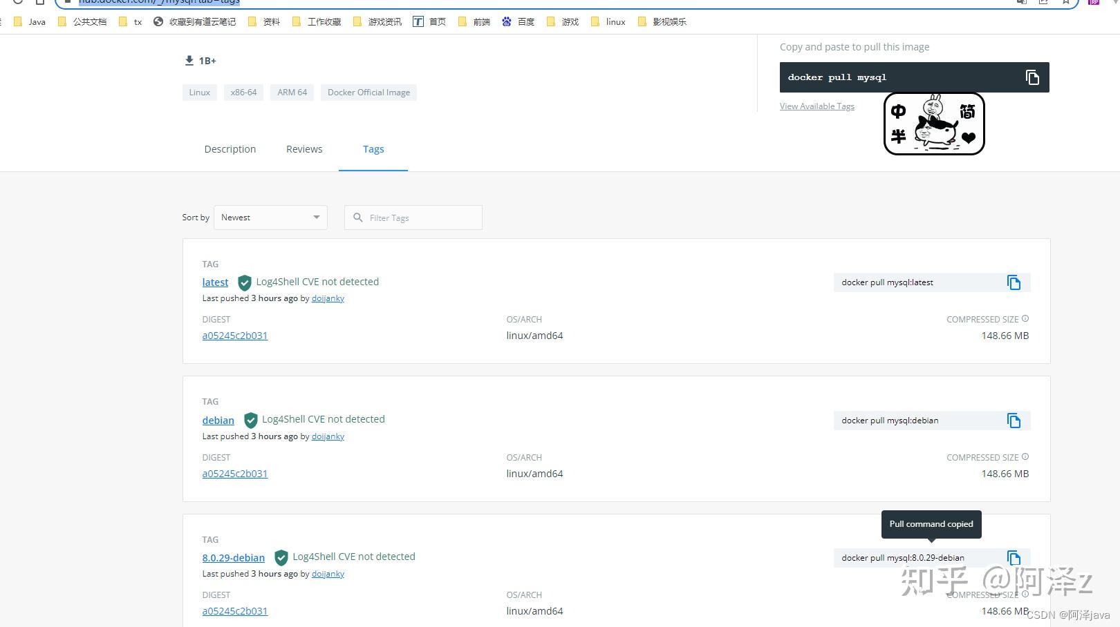 Docker安装mysql，自定义配置文件 知乎