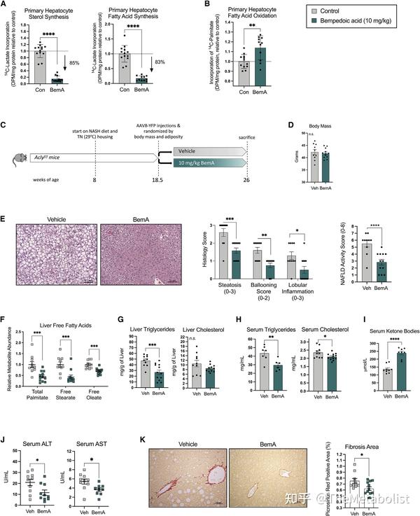 代谢学人--Cell Metabolism：NASH刺客 -- ATP柠檬酸裂解酶 - 知乎