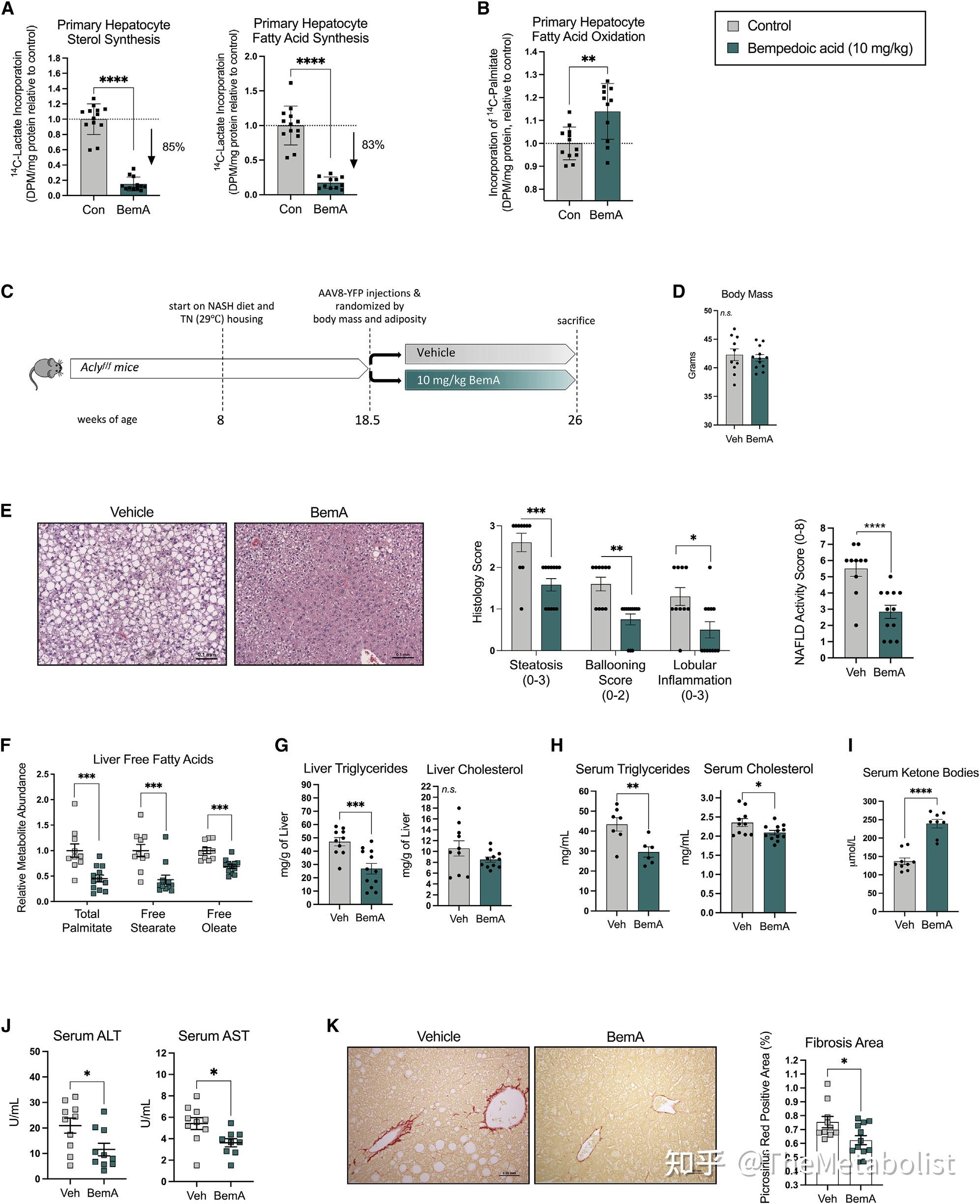 代谢学人--Cell Metabolism：NASH刺客 -- ATP柠檬酸裂解酶 - 知乎