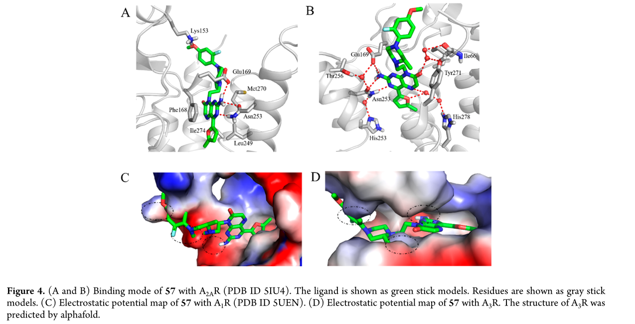 新型腺苷A2A受体拮抗剂用于癌症免疫治疗 - 知乎