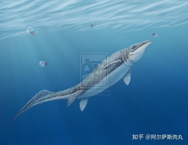 「Legend of Cretaceous丨白垩传 4」沧海沉浮（下）：龙游四海 - 知乎