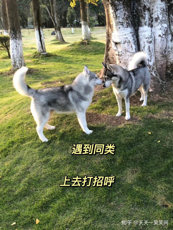 爆笑经典理发搞笑冷笑话，糗事搞笑经典冷笑话 - 知乎