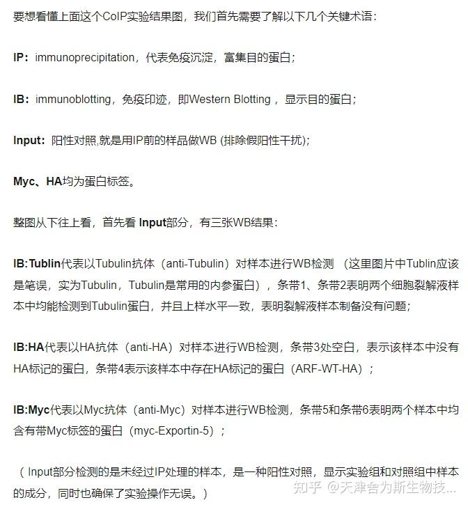 同是证明蛋白间直接互作，GST pull-down和CoIP有何区别？实验结果该如何解读？ - 知乎