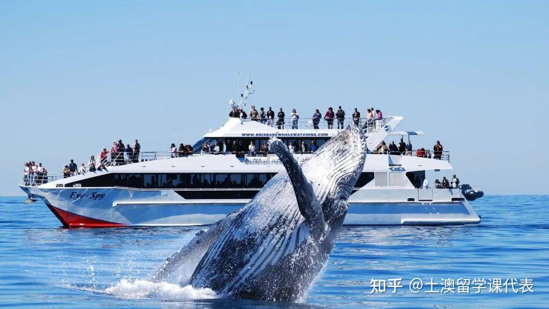 澳大利亚13日公立中小学插班游学营 | 悉尼+布里斯班+黄金海岸 - 知乎