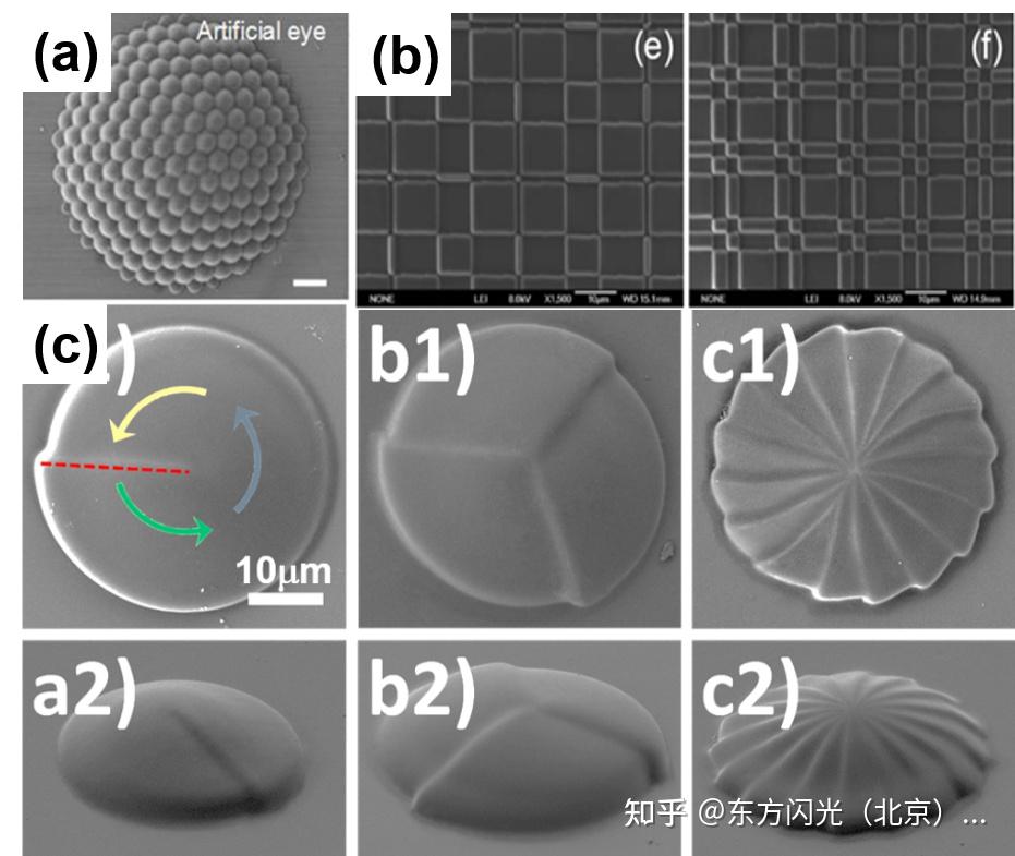 “联合甄选，专注科学”系列 新品分享—Maleon飞秒激光双光子聚合3D打印系统 - 知乎