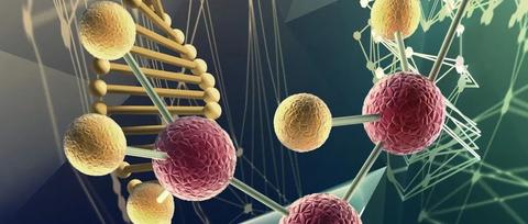 Nature 子刊 | scBERT：用于单细胞RNA-seq数据的细胞类型注释的大规模预训练深度语言模型 - 知乎