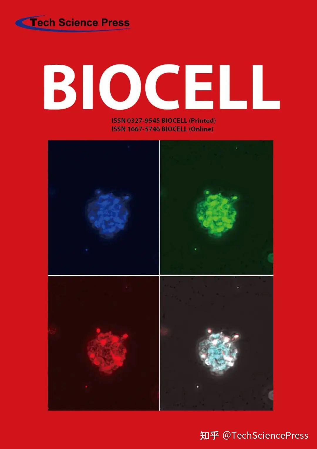 BIOCELL精选综述丨循环肿瘤细胞：生物学特征和生存机制 - 知乎