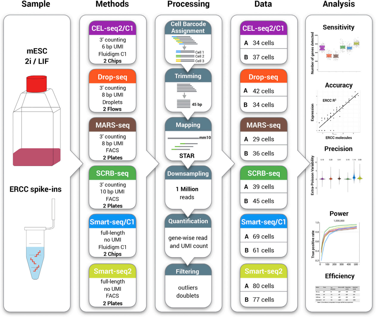 易基因 | 综述科普：单细胞测序技术下的小鼠脑部DNA甲基化图谱 - 知乎