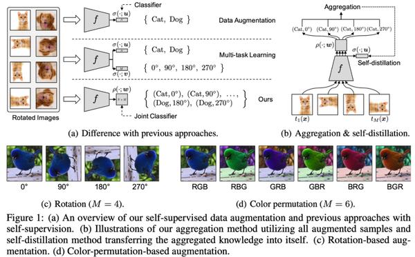 图解自监督学习，从入门到专家必读的九篇论文 - 知乎