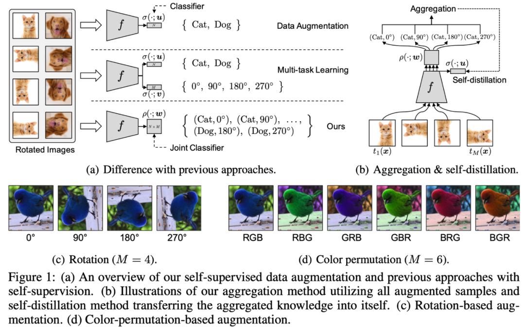 图解自监督学习，从入门到专家必读的九篇论文 - 知乎
