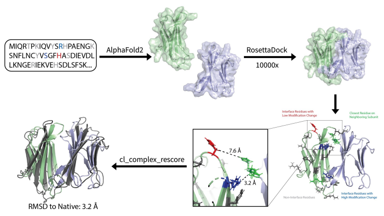 Nat. Commun.| 基于Rosetta、AlphaFold和质谱共价标记进行蛋白质复合物预测 - 知乎