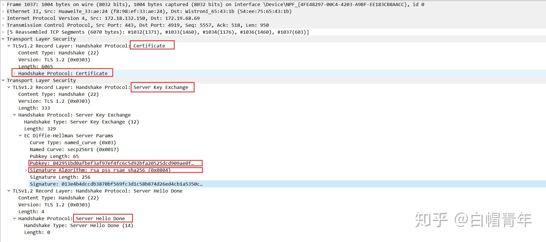 wireshark抓包分析HTTPS - 知乎