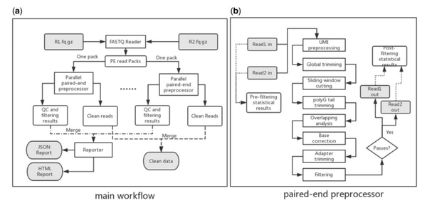 一个转录组上游分析流程 | Hisat2-Stringtie - 知乎