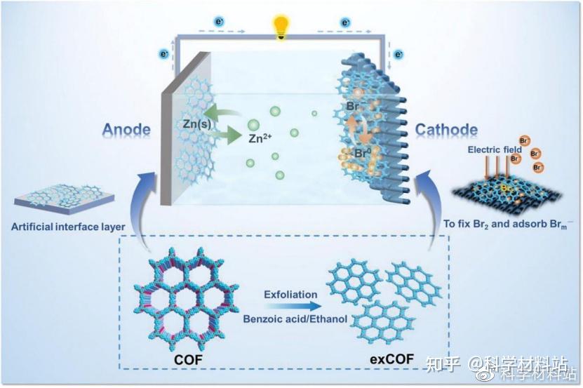 青岛大学刘晓敏团队CEJ：一种高性能COF基水系锌溴电池 - 知乎