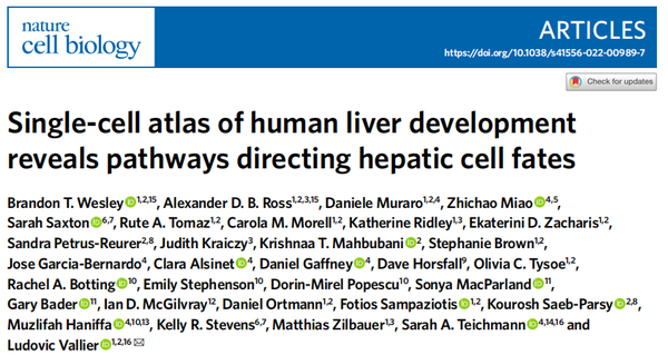 Nat Cell Bio | 单细胞图谱揭示肝细胞发育分化路径 - 知乎
