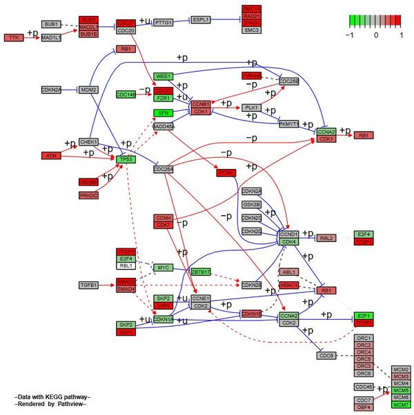 Pathview包：整合表达谱数据可视化KEGG通路 - 知乎