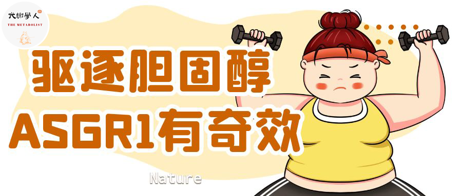 代谢学人--Nature: 驱逐胆固醇，Asgr1有奇效！ - 知乎
