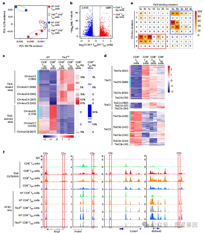 Nat Immu | 转录辅因子Tle3决定记忆性CD8+T细胞分化 - 知乎