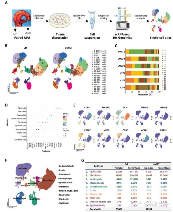 单细胞表达图谱揭示了克罗恩病爬行脂肪的细胞异质性 - 知乎