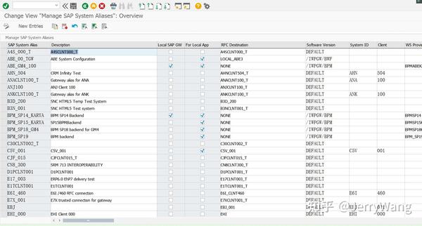 在 Sap Abap Gateway 系统上定义后台系统的 Alias 知乎