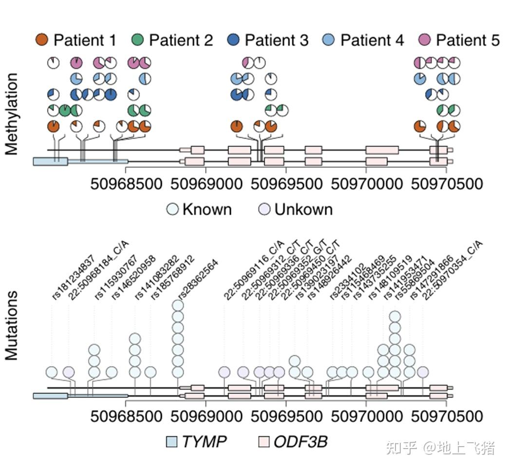 trackViewer包使用教程（持续更新） - 知乎