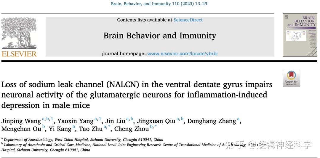 BBI︱四川大学华西医院朱涛/周诚团队揭示腹侧海马齿状回NALCN离子通道调控炎性抑郁的新机制 - 知乎