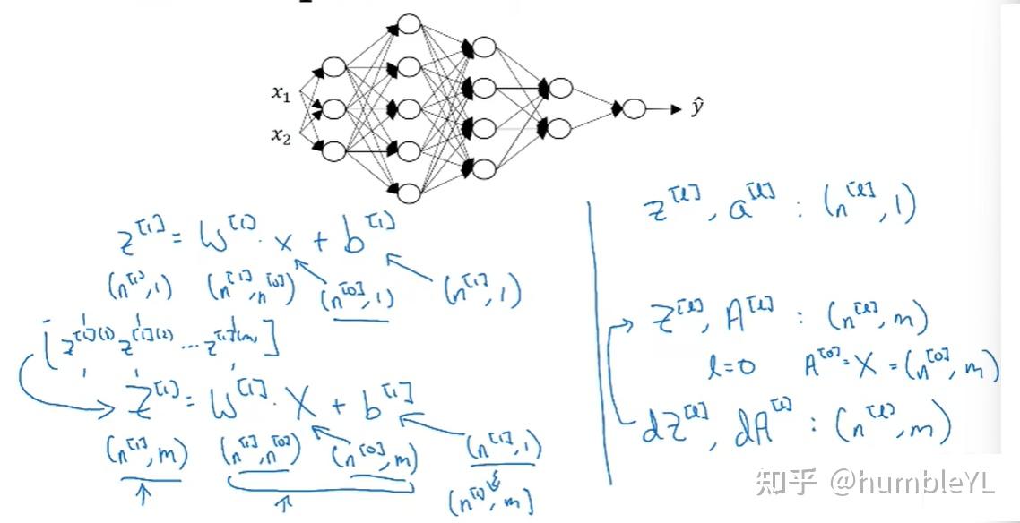 39 核对矩阵的维数 - 知乎