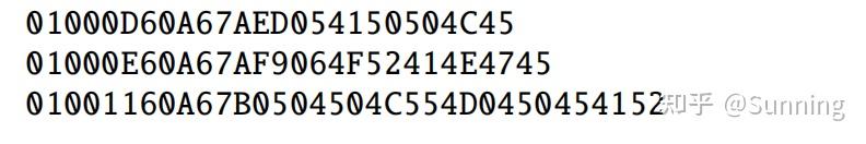 BinaryInferno：字段推理的语义驱动方法二进制消息格式 - 知乎