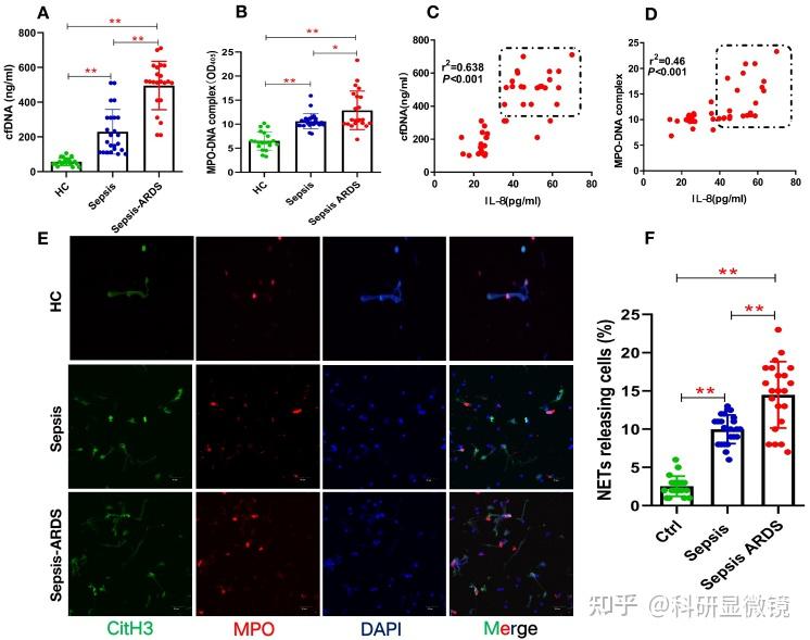通过多篇10+高分文献结果揭示国自然热点中性粒细胞胞外诱捕网（NETs）相关实验 - 知乎