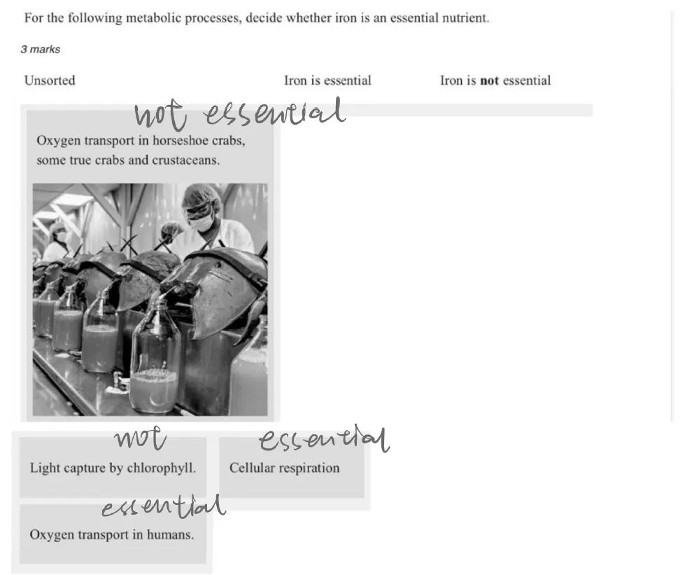 2024年BBO&USABO真题解析出炉，速来对答案！