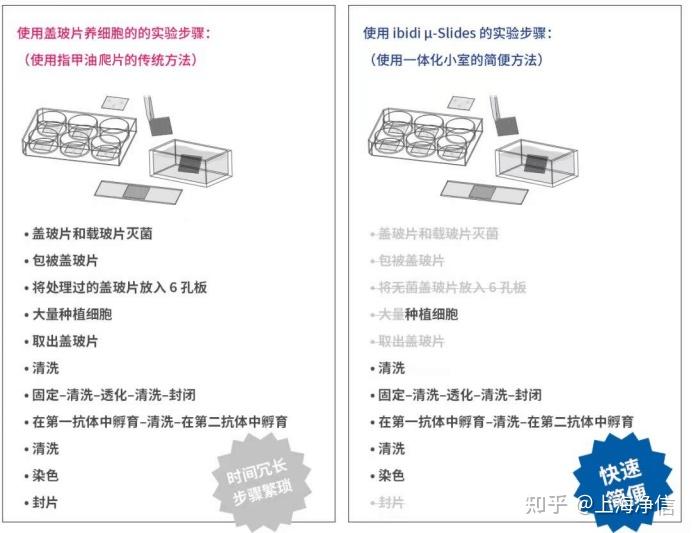 Ibidi应用指南 免疫荧光实验 知乎