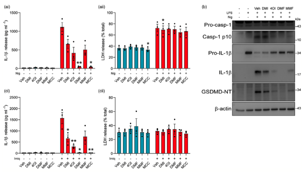 Immunology丨衣康酸和富马酸衍生物抑制巨噬细胞中经典 NLRP3 炎性体的启动和激活 - 知乎